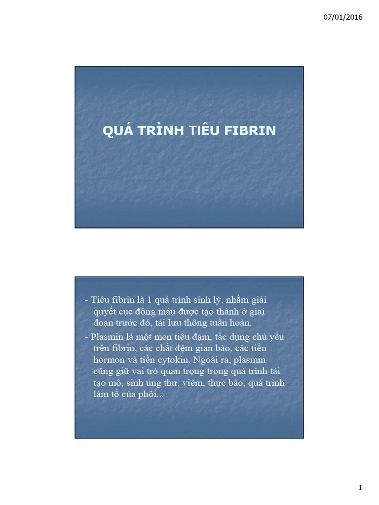 Tie Ufi Brin | PDF