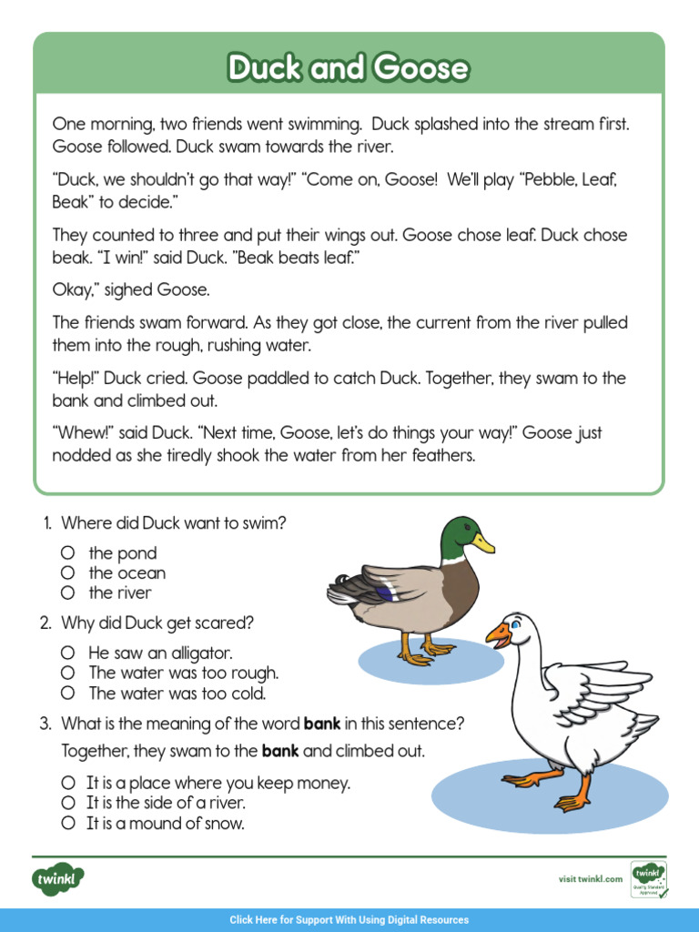 Duck and Goose: A Swimming Adventure | PDF