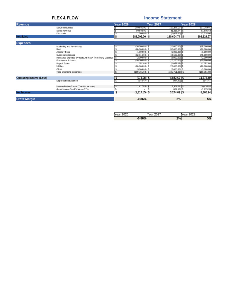 Flex & Flow Financial Statements 2026-2028 | PDF | Expense | Equity ...