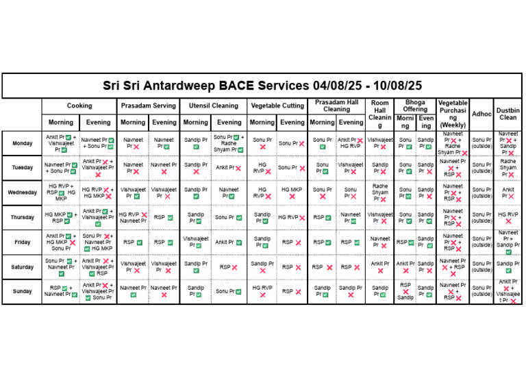 BS BACE Services - BACE Services Report 20250804 - 20250810 | PDF