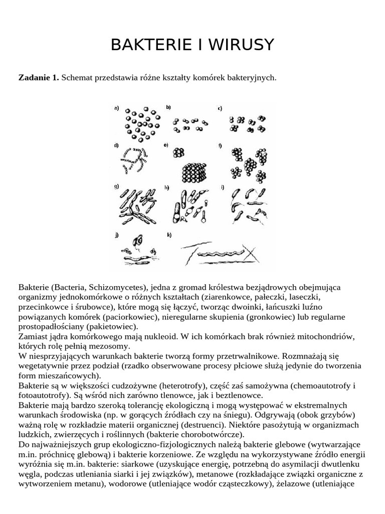 Bakterie I Wirusy - Test | PDF