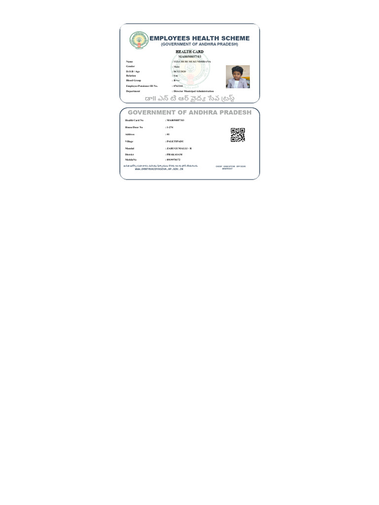 Employees Health Scheme1 | PDF