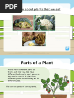 Edible Parts of Plants Explained | PDF | Fruit | Vegetables
