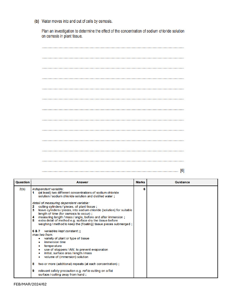 Paper 6 Plan An Investigation Worksheet | PDF