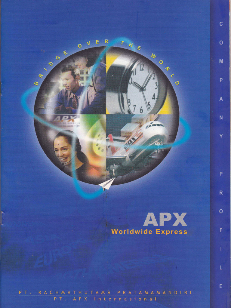 1 7-PDF APX Company Profile | PDF