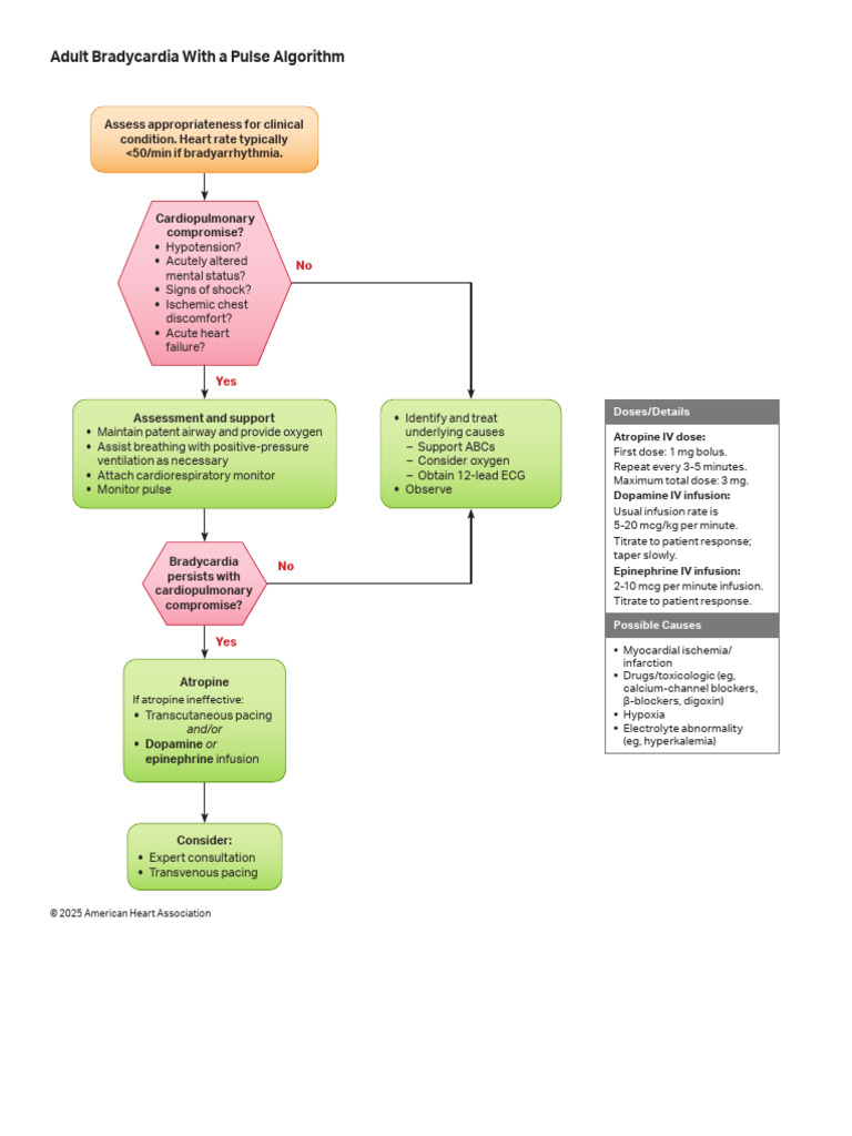 ACLS Bradycardia Treatment Protocol | PDF | Cardiovascular System ...