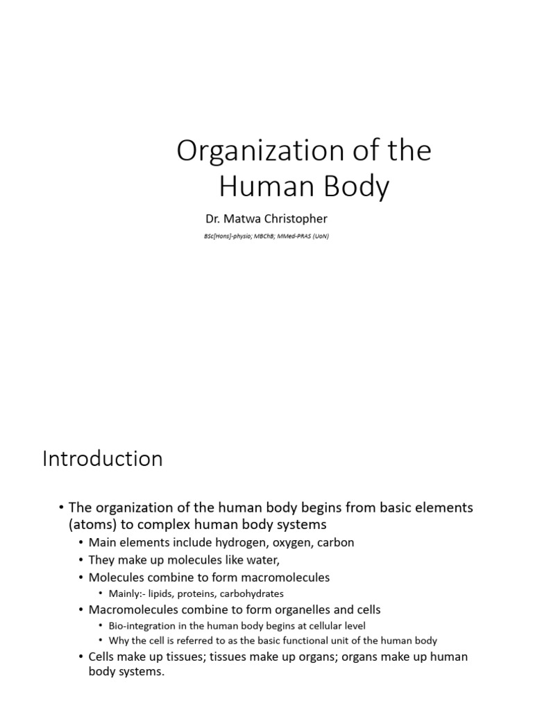 Human Body Organization and Tissues | PDF | Epithelium | Muscle