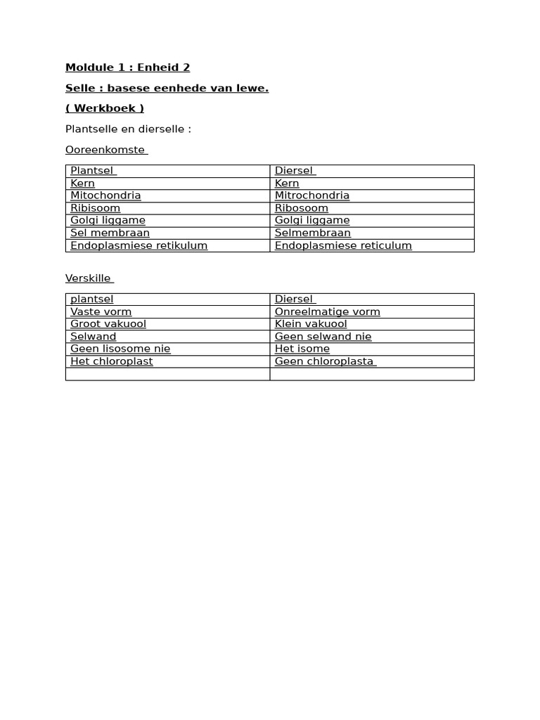 Moldule 1 - Eenheid 2 - Selle | PDF