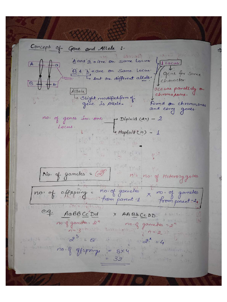 Principles of Inheritance and Variation Notes 2 | PDF