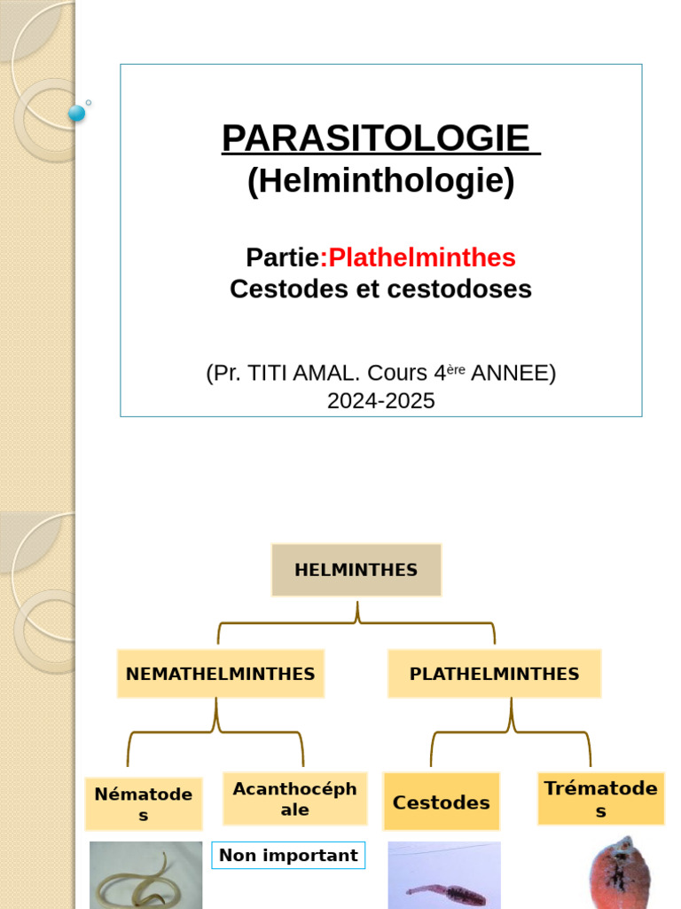 Cestodes : Morphologie et Cycle Évolutif | PDF | Système reproducteur ...