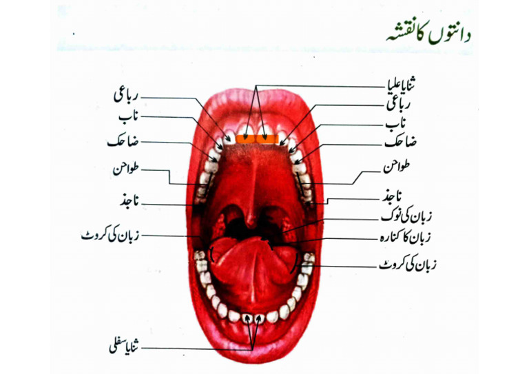 Makh Raj | PDF