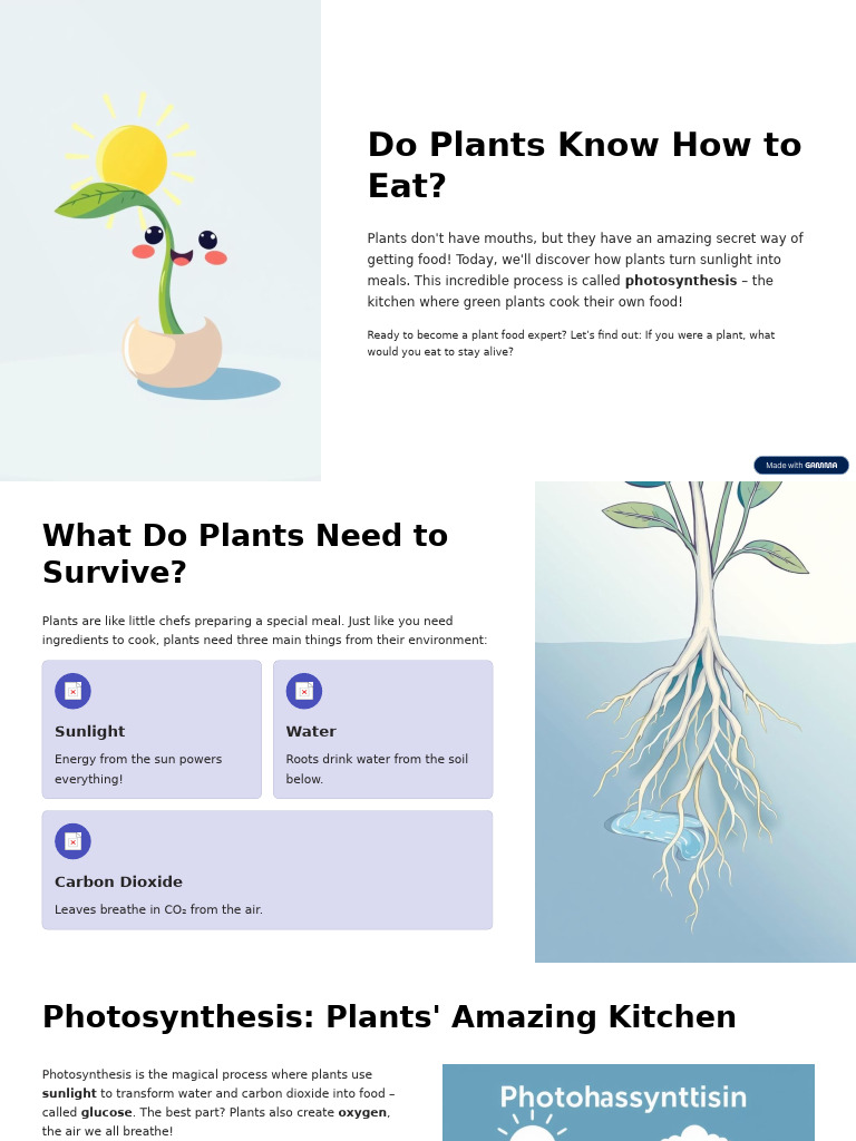 How Plants Eat: The Photosynthesis Process | PDF | Plants | Photosynthesis