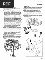 Molave Tree: Benefits and Growing Guide | PDF | Trees | Plants