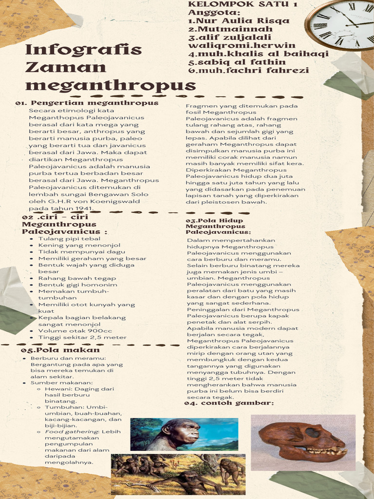 Ciri dan Kehidupan Meganthropus Paleojavanicus | PDF