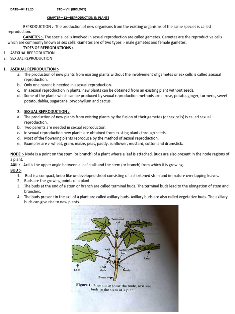 STD Vii Biology 2 | PDF
