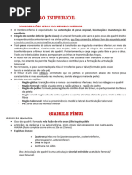 Anatomia do Fêmur Humano | PDF | Quadril | Osso
