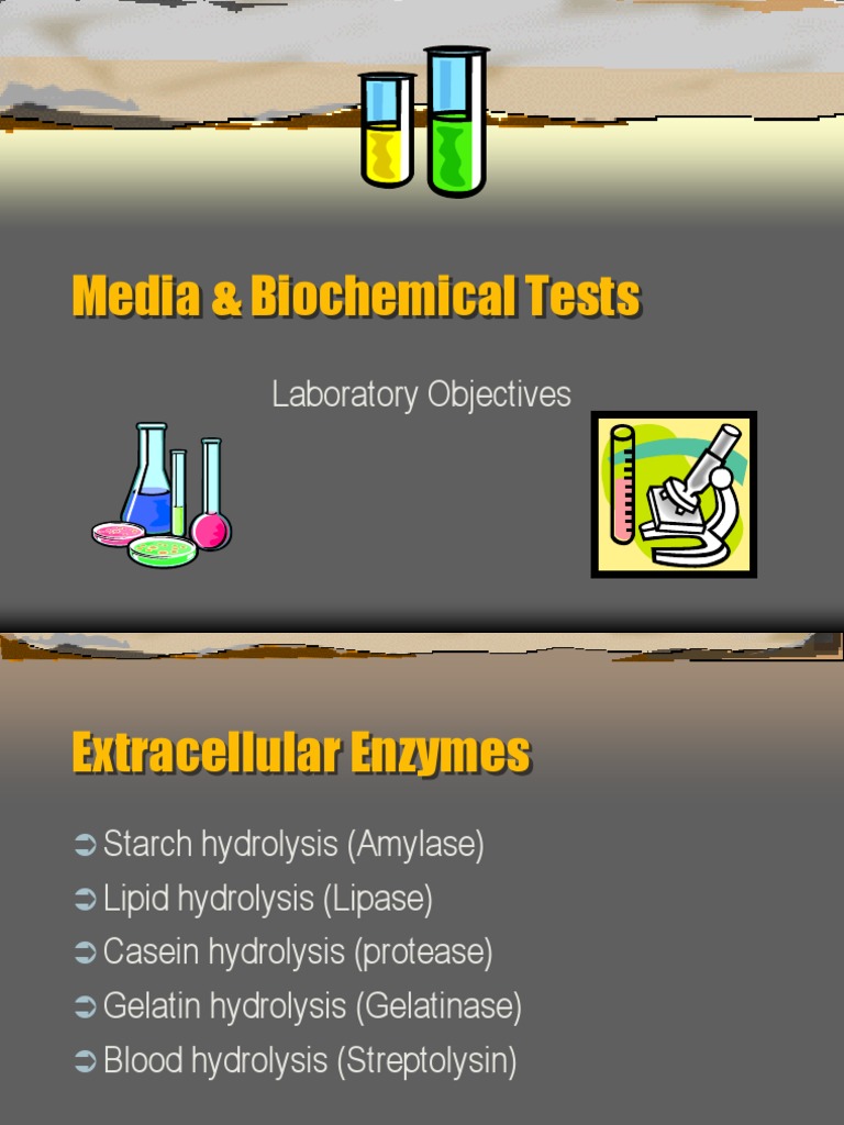 Media Biochemical Tests | PDF | Staphylococcus | Microbiology