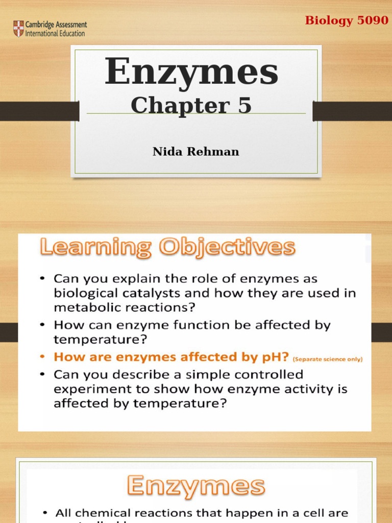 Chapter 5 Enzymes | PDF