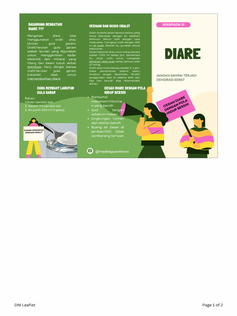 DIARE Leaflet | PDF