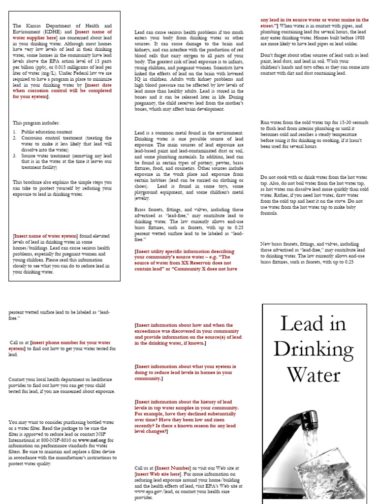 Lead Public Education Template Pamphlet PDF | PDF | Lead | Water