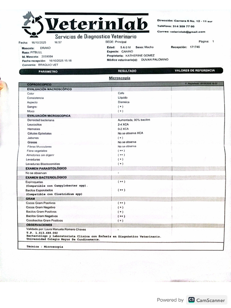Coprologico DRAKO Gómez | PDF
