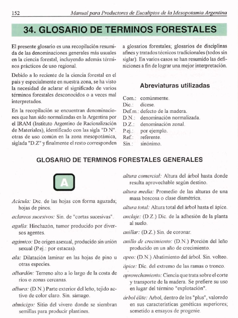Glosario de Términos Forestales | PDF | Arboles | Los bosques