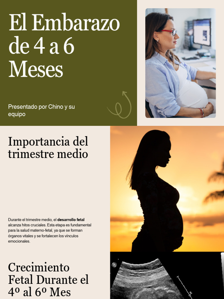 Presentación - El Embarazo de 4 A 6 Meses PDF | PDF | El embarazo | Feto