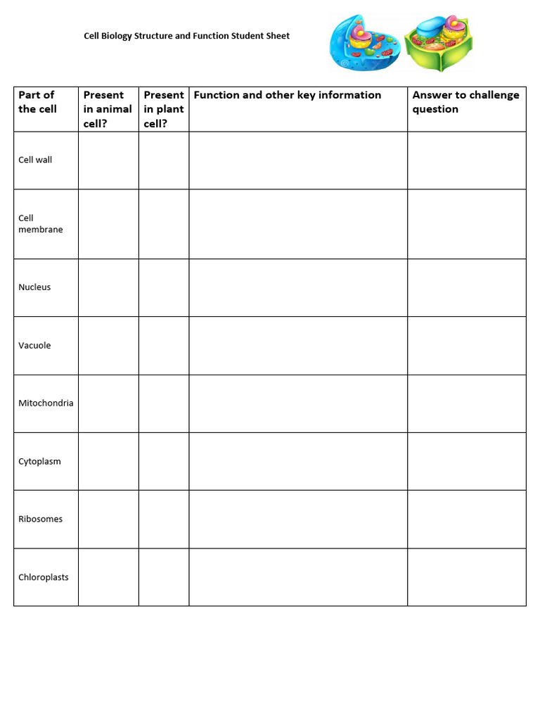Parts of The Cell STUDENT SHEET | PDF