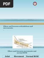 Wrist Flexion Muscle Testing Guide | PDF | Anatomical Terms Of Motion ...
