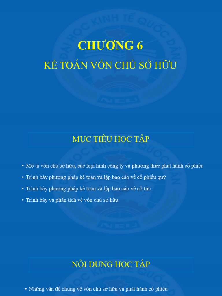 Slides BG Chương 6 - Kế Toán VCSH (1) | PDF