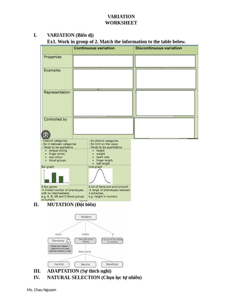 Variation Ws | PDF