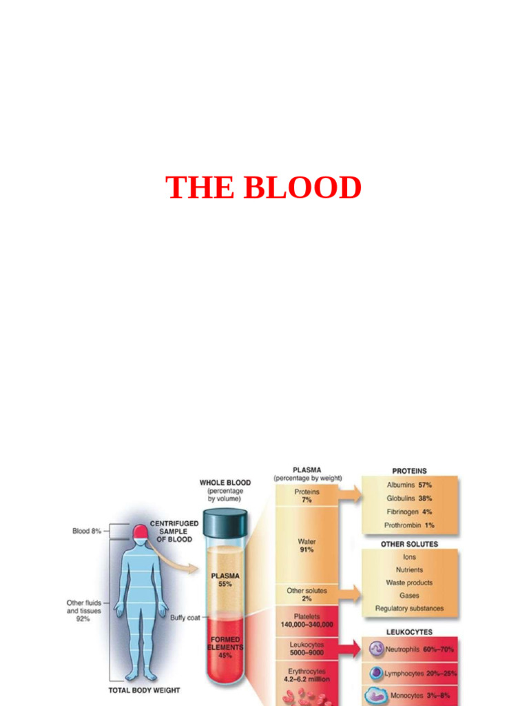 Red Blood Cell | PDF