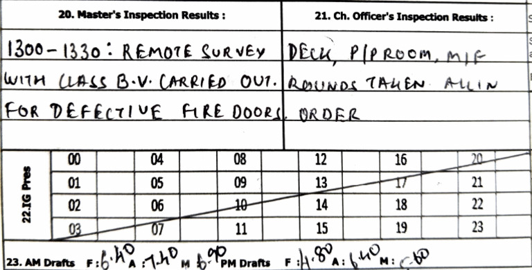 Remote Survey BV Entry | PDF