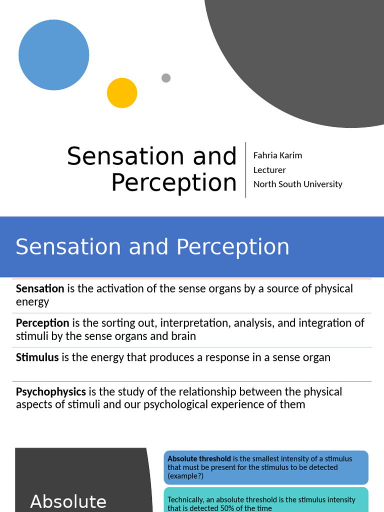 Sensation and Perception | PDF | Senses | Perception