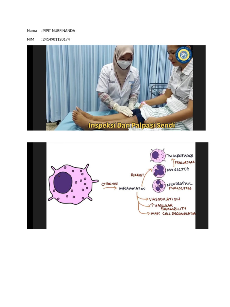 Kmb Mggu 2_pipit Nurfinanda | PDF