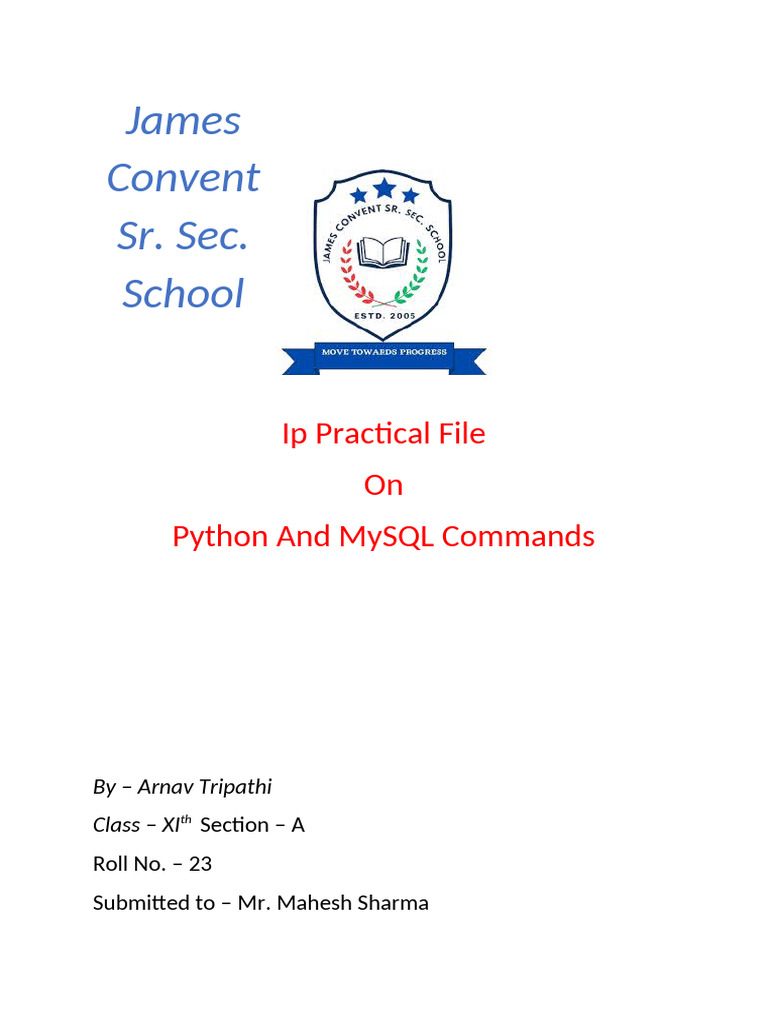 Ip Practical File | PDF