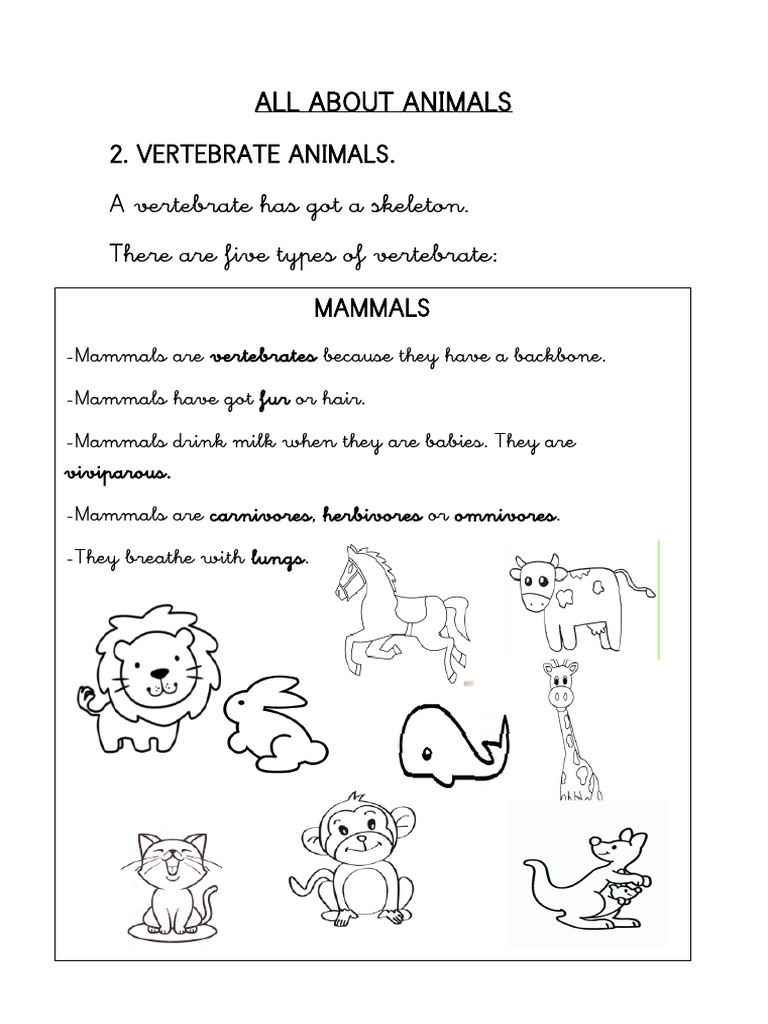 Vertebrate Animals Overview | PDF