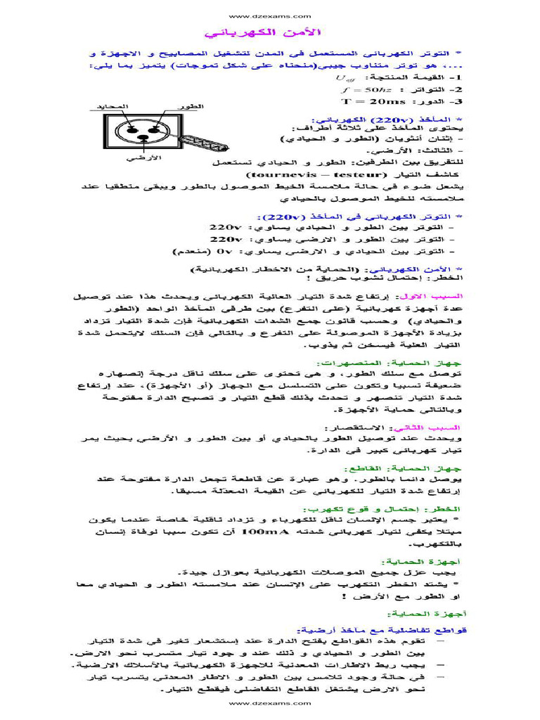 Dzexams Docs 4am 241027 | PDF