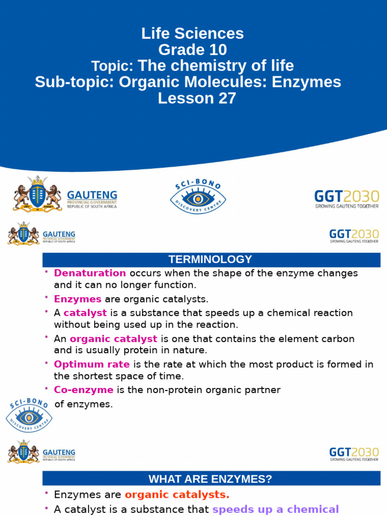Understanding Enzymes in Life Sciences | PDF | Enzyme | Enzyme Assay