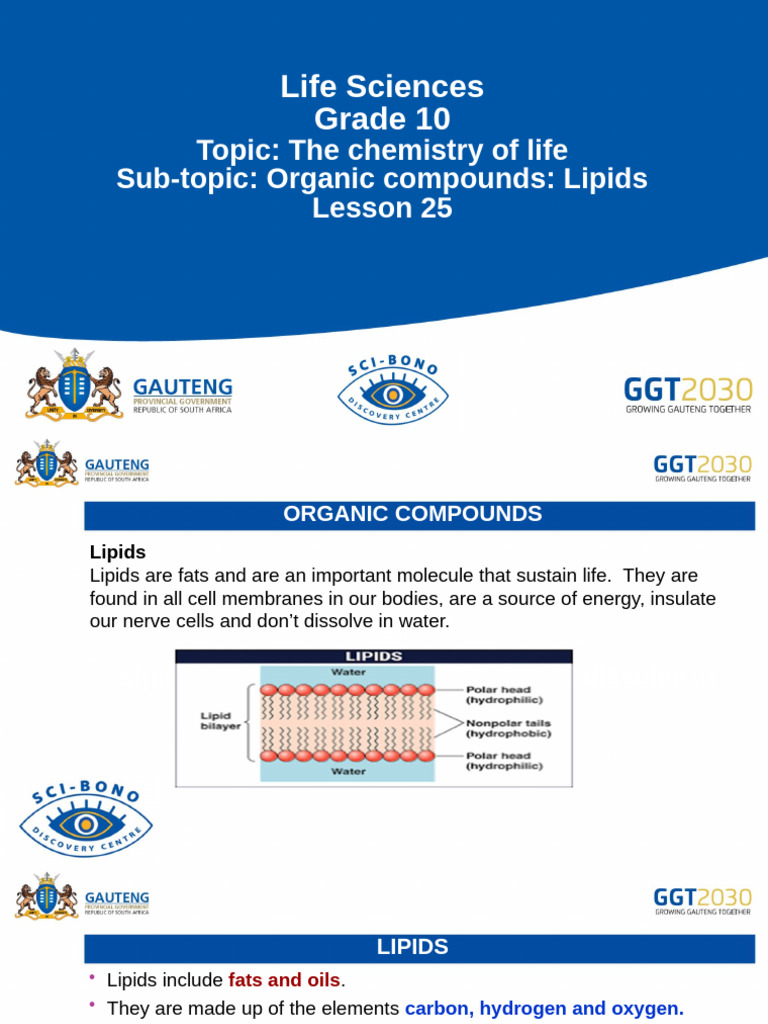 Understanding Lipids: Types and Functions | PDF | Fat | Fatty Acid