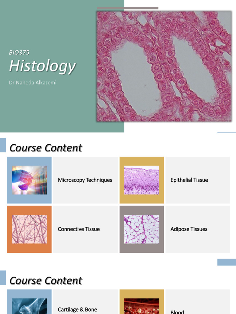 Histology Course Overview and Techniques | PDF | Epithelium ...