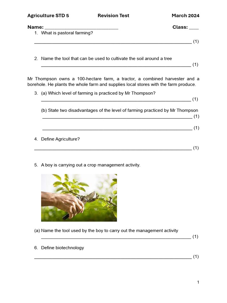 Agriculture Revision Test for Grade 5 | PDF | Agriculture | Farms
