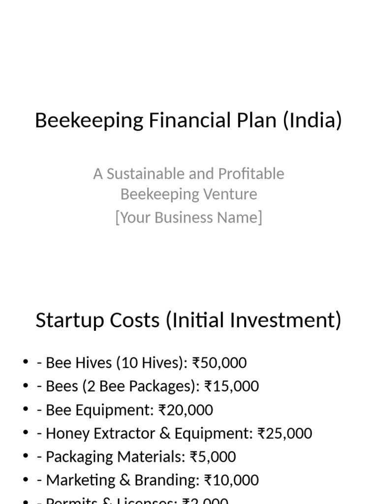 Beekeeping Financial Plan India | PDF