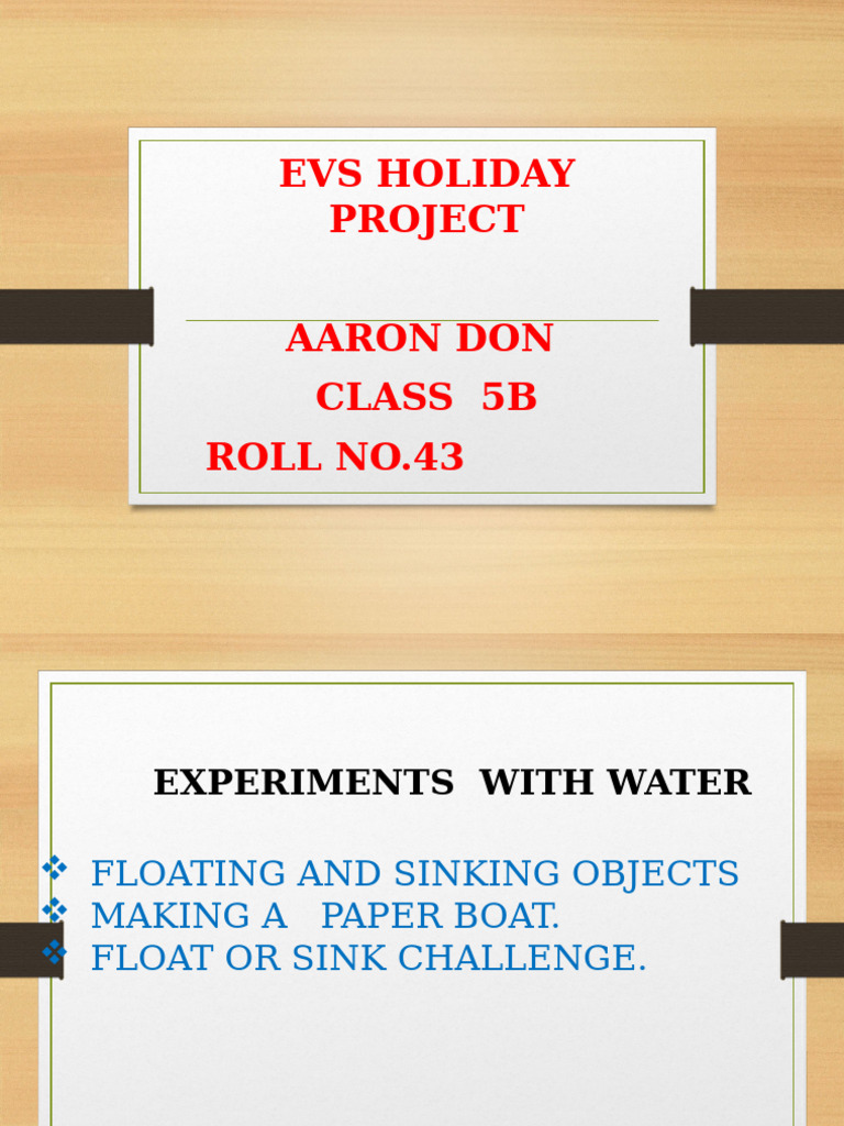 Aaron EVS Holiday Project 24 | PDF