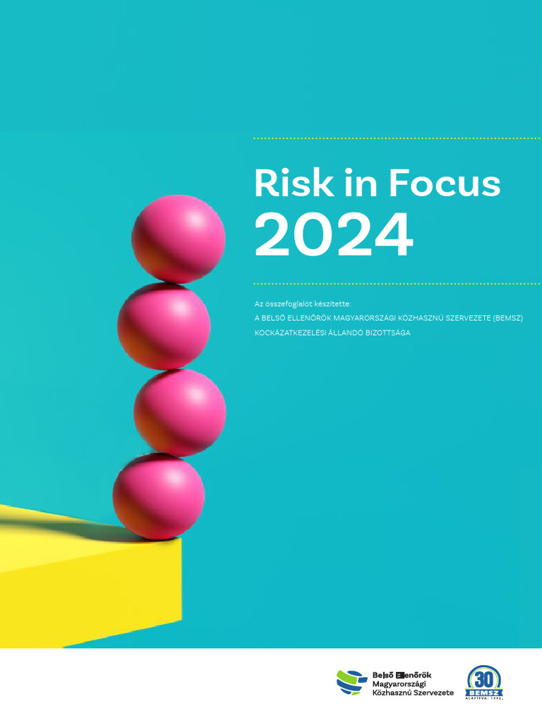 Risk in Focus 2024 | PDF