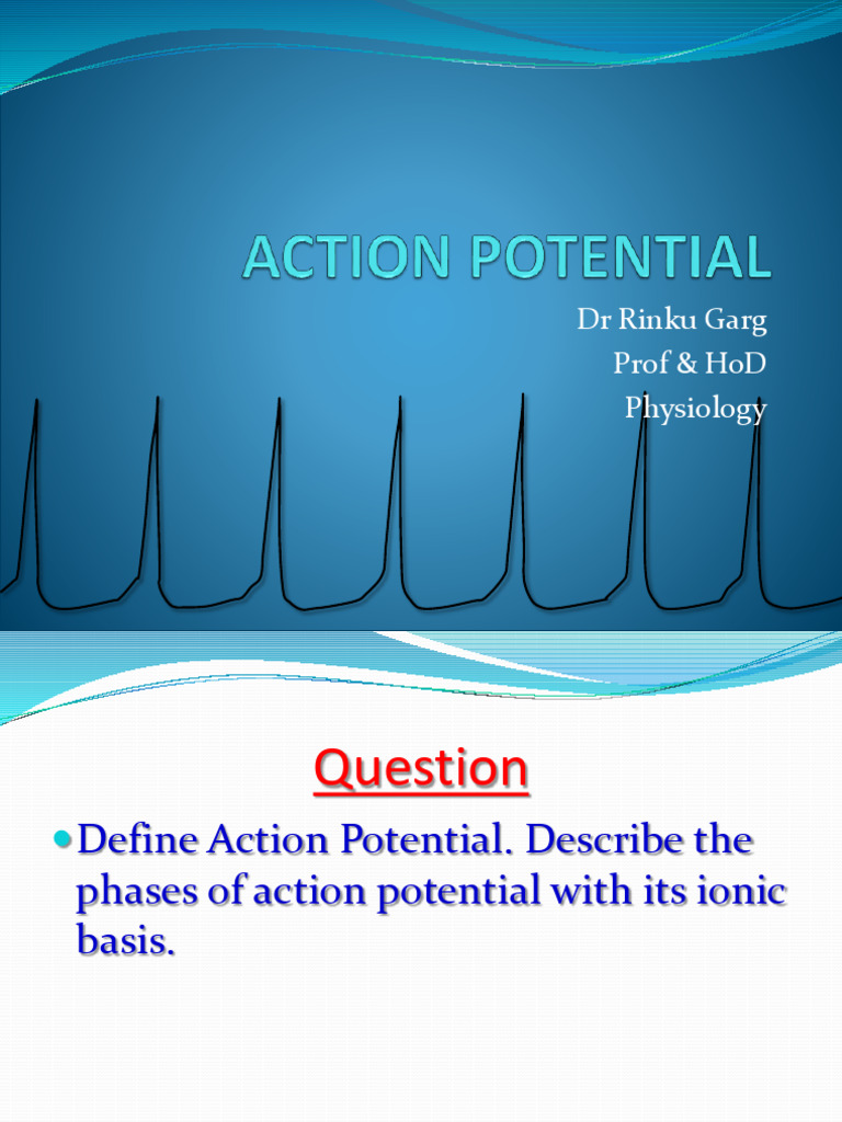 Action Potential Final | PDF | Depolarization | Action Potential