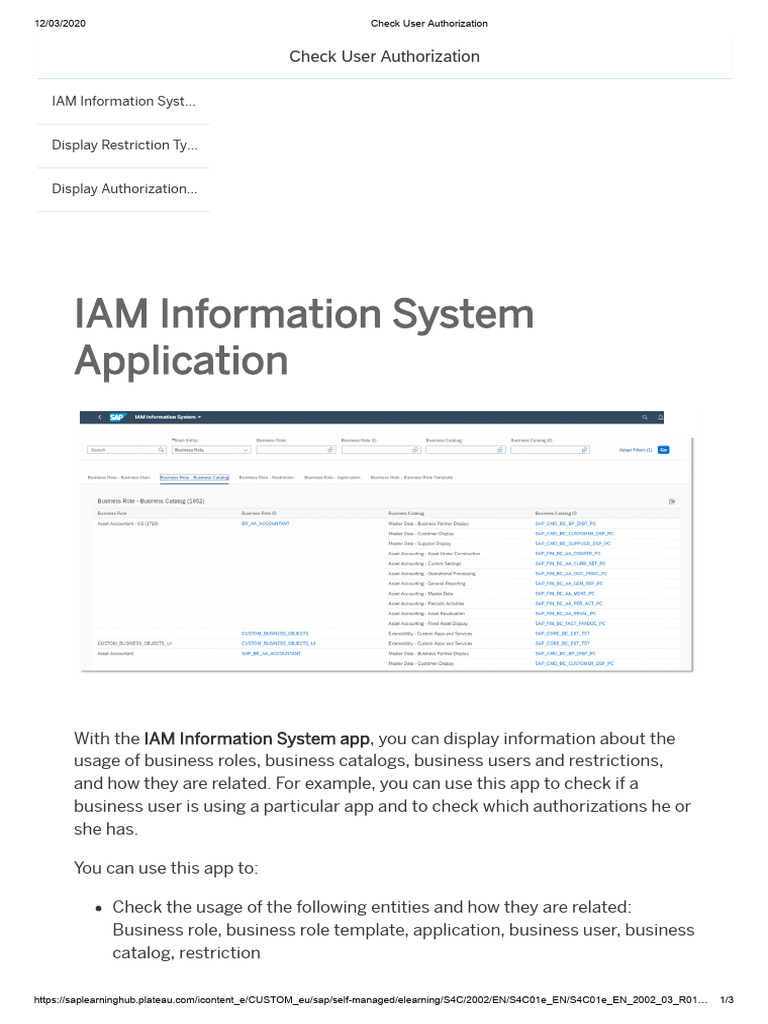 User Authorization Management in IAM | PDF | Computing | Software