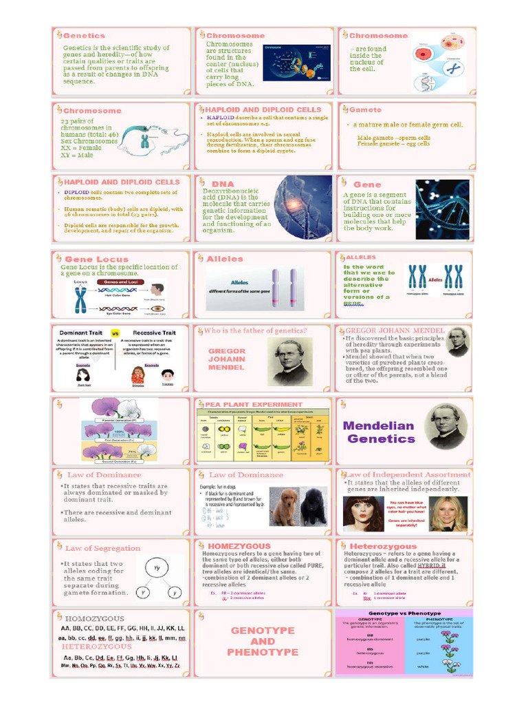 Grade 9 Genetics | PDF