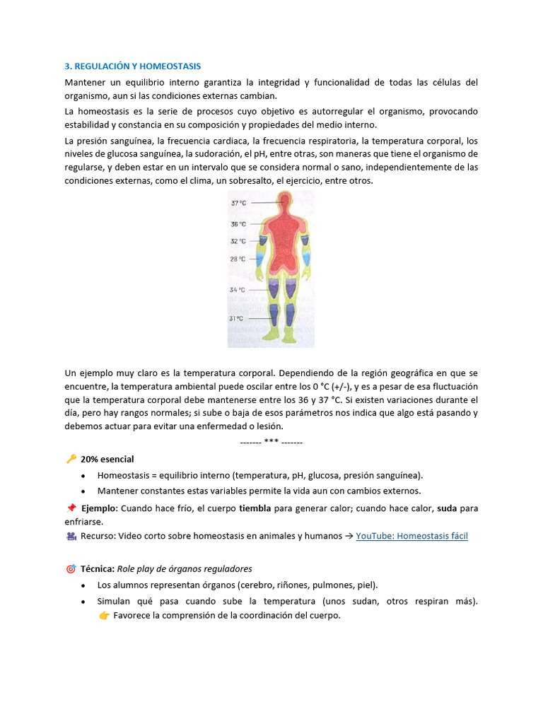 Homeostasis: Equilibrio Interno Vital | PDF