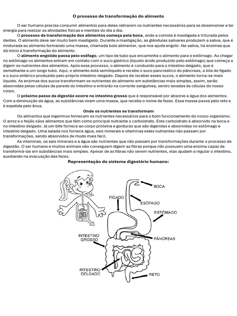 Processo de Digestão dos Alimentos | PDF | Digestão | Trato ...